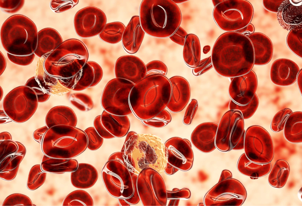 Polycythemia Vera: A Researcher’s View - Longer Life Foundation